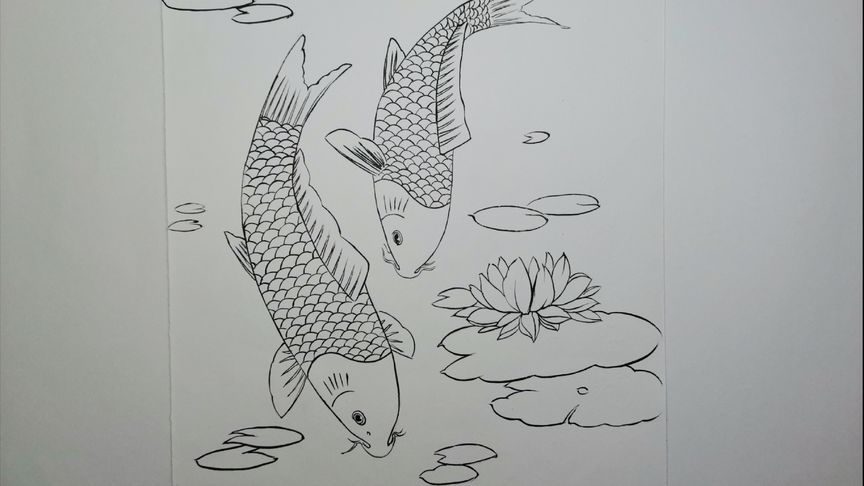 白描鱼的画法练习(1)