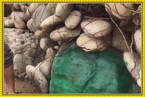 小伙挖玉石,挖到一块大"翡翠",估计价格不菲!