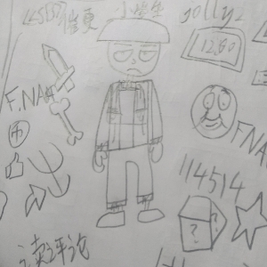 睿宝288 