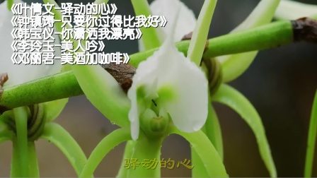 《叶倩文-驿动的心》《钟镇涛-只要你过得比我好》《韩宝仪-你潇洒我...