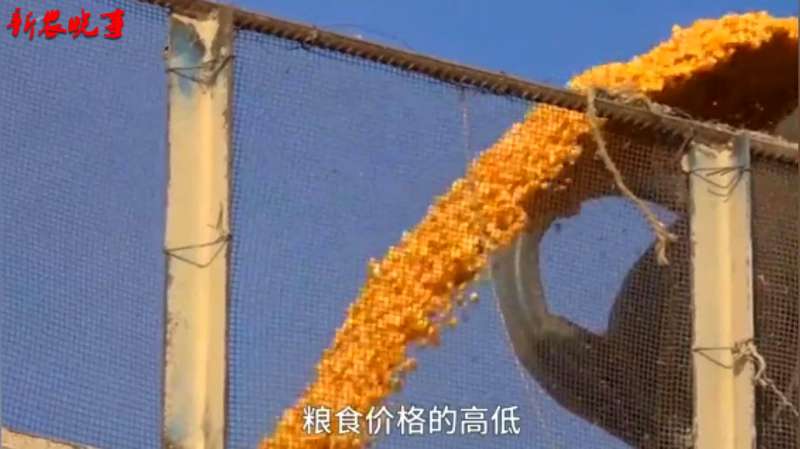 玉米缺口1708万吨,又有2个消息传来,今年粮食会进一步涨价吗?