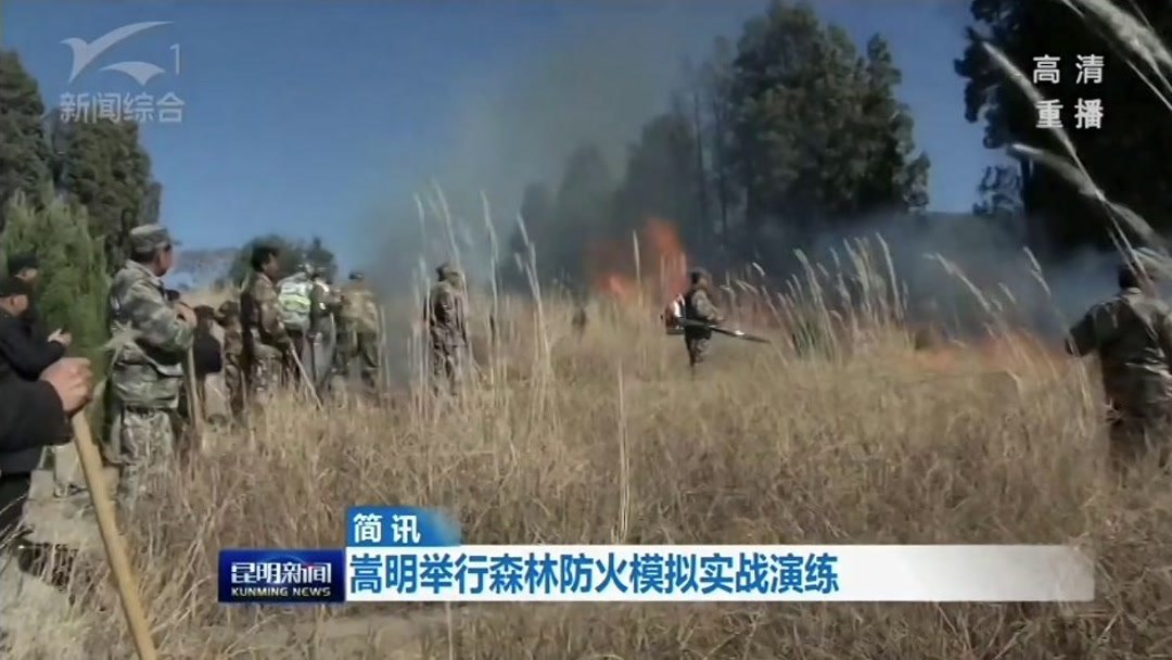 嵩明举行森林防火模拟实战演练