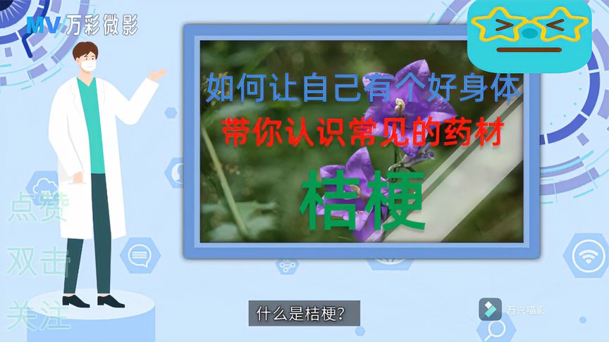 养生-桔梗的作用以及食用,教你养好自己的身体