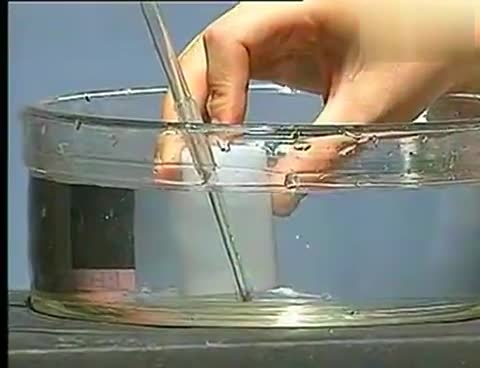 氢气和氯气的混合气在强光照射下的反应高中化学实验