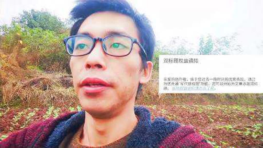 小陈收到百家号发的,双标题权益通知