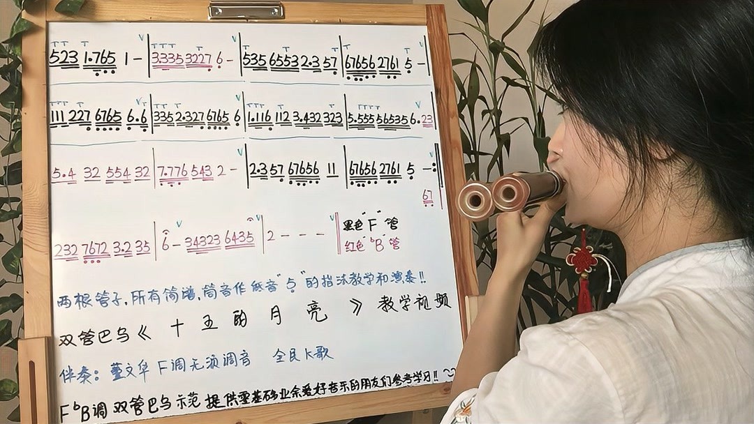 《十五的月亮》双管巴乌教学,第三课,指法详解