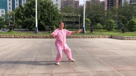 杨式太极拳88式