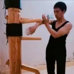 咏春功夫祥之龍