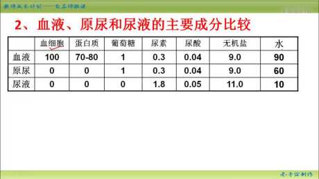 「生物大师」初中生物微课教学视频第90集:血液、原尿、尿液的区别