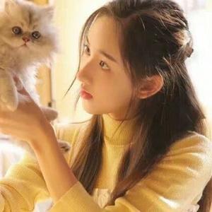 娱乐菜团子 