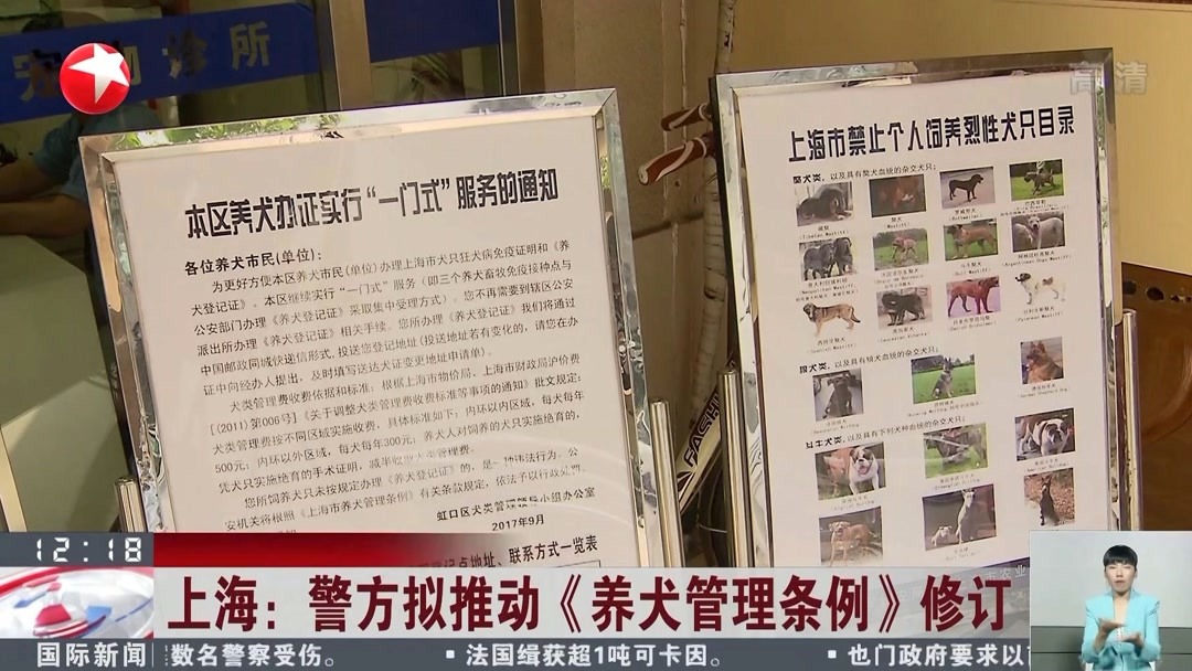   上海:警方拟推动《养犬管理条例》修订