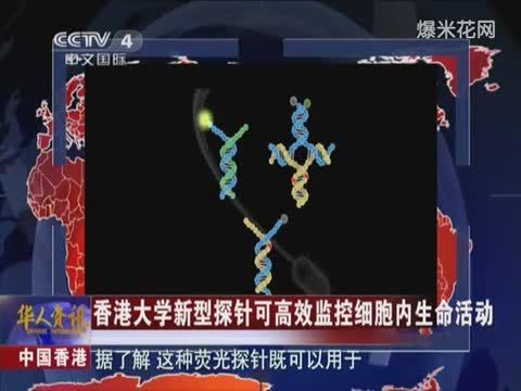 香港大学新型探针可高效监控细胞内生命活动
