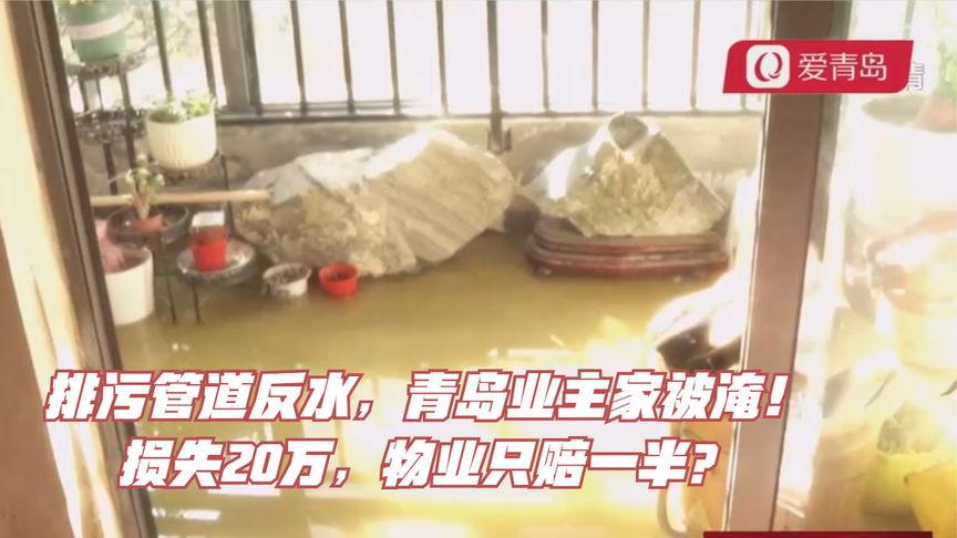排污管道反水,青岛业主家被淹!损失20万,物业只赔一半?