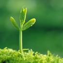 搞笑开心的小视频 