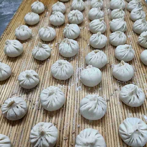 大汉包子bili 