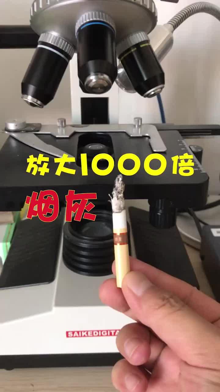 烟灰放大1000倍#显微镜 #生活小百科