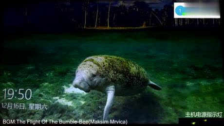 2分钟!教你用手机远程打开电脑