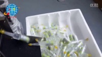 西瓜液体肥瓶贴标机 中性笔贴商标机器 注射器贴标机 试管贴标签机