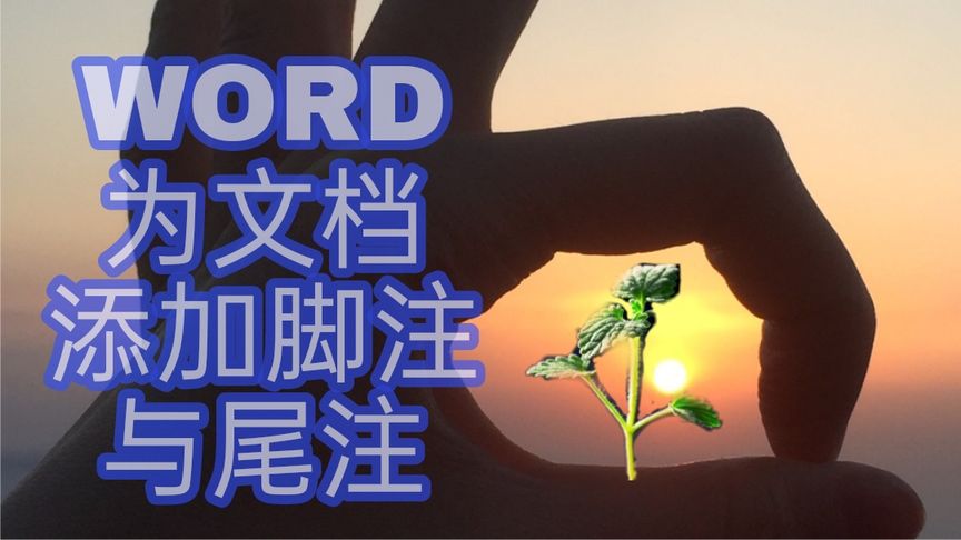 为文档添加脚注与尾注@中视频伙伴计划官号