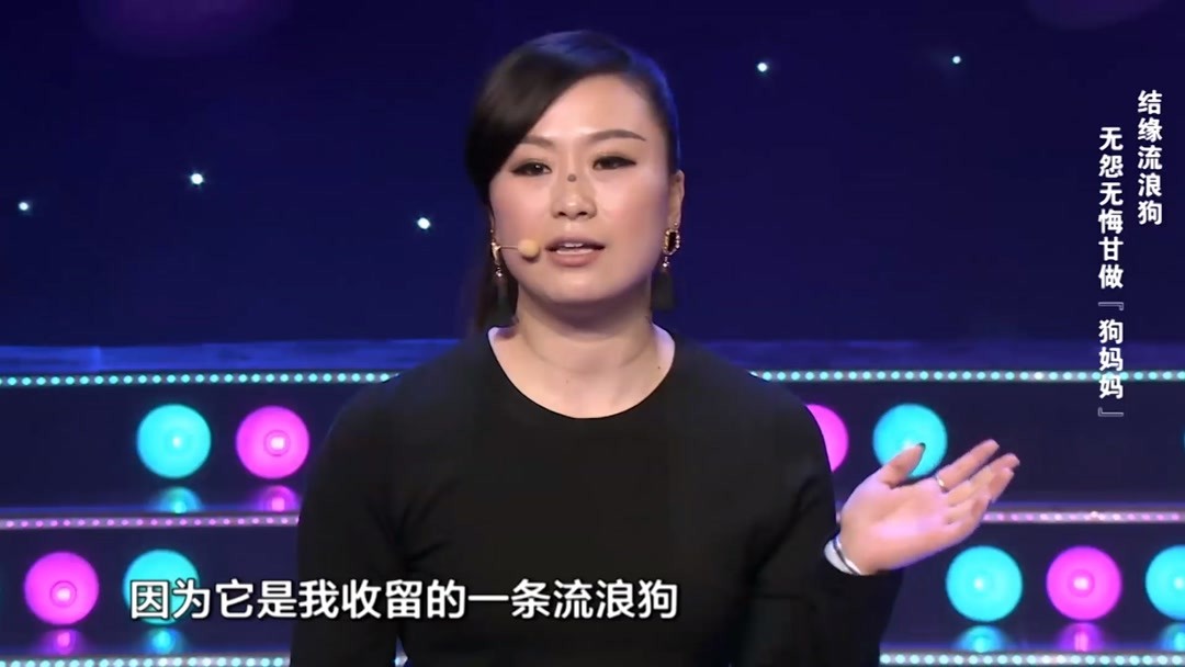 综艺:可爱狗狗聪明伶俐,各种才艺表演,瞬间俘获观众的心