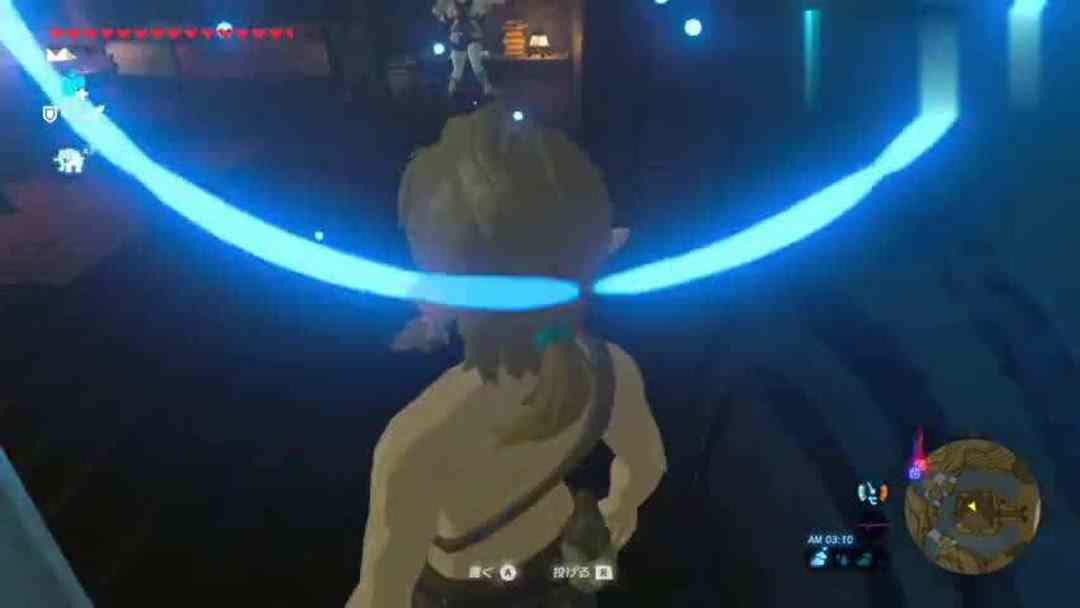 塞尔达传说:疯狂合影的林克!