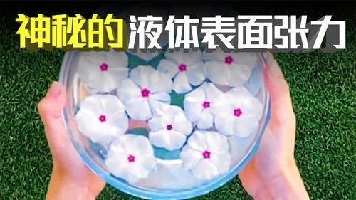科学:关于液体表面张力的科学小实验,第五个难以置信
