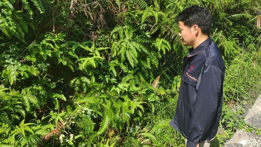 变压器地阻测量下