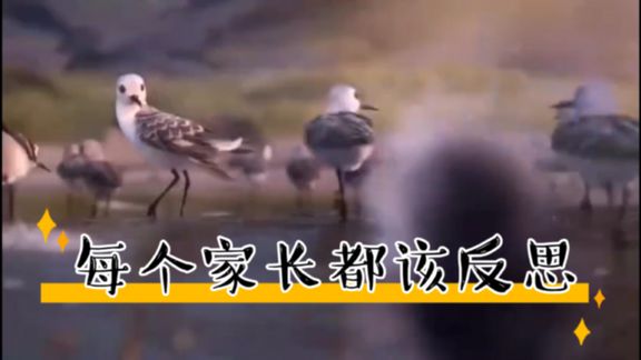 8090新爸妈应该肩负的教育责任