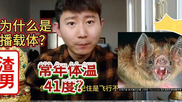 蝙蝠为什么是传播病毒的源头,而不是其他动物?