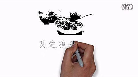 高血压灵芝孢子粉有副作用吗寿皇