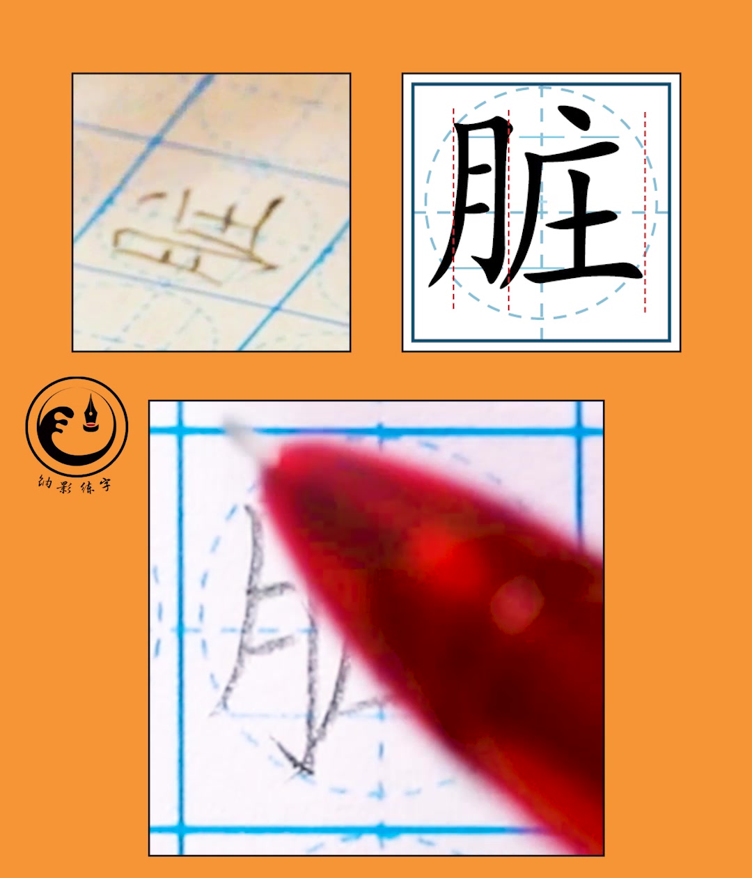 小学生二年级上册识字表同步书写讲解示范课文第五课 硬笔书法 小学...