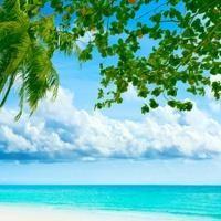 亿夏之年谰 