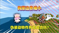 迷你世界生存汉堡 第493集 狗带边界缩小!汉堡伪装成动物作死,能骗过...