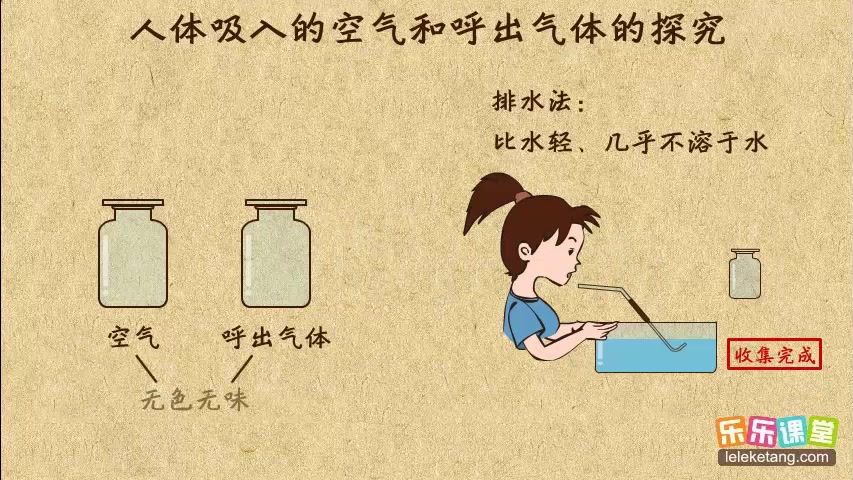 九年级化学上册第一单元——走进化学世界(微课)04人体呼吸探究