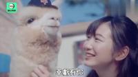 草泥马不好好吃草, 还不务正业去邮局帮忙送信, 萌翻路人