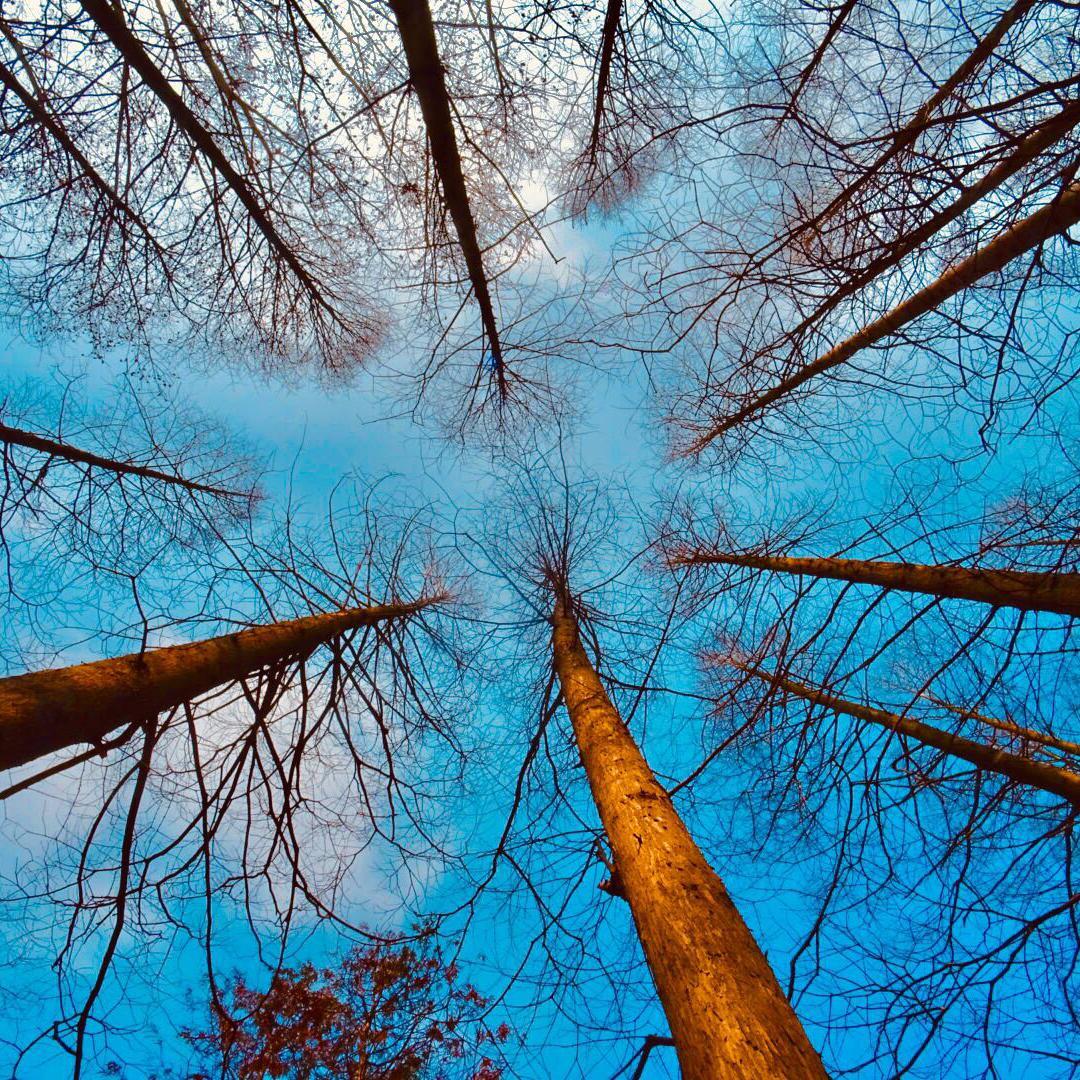 摄影与后期制作 