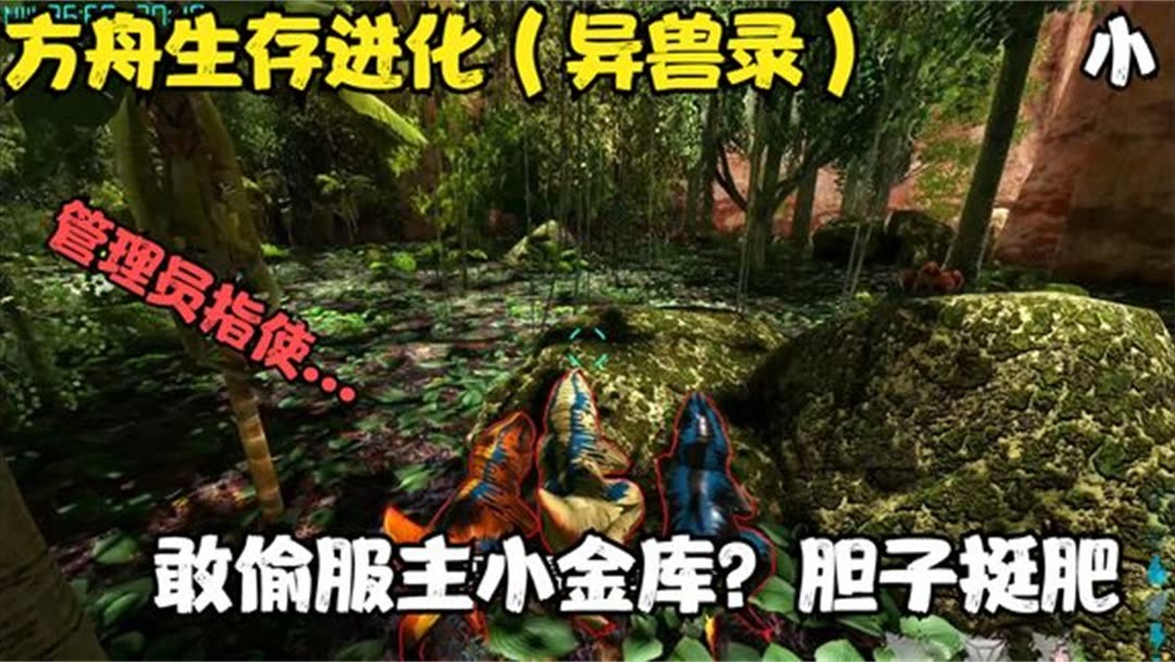 方舟生存进化,奉管理员之命偷服主小金库,奈何服主守了两个小时