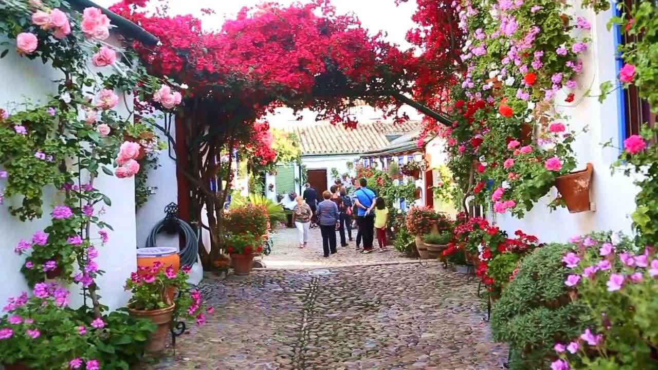 游览国外旅游景点,所到之处都是花,这里简直是花的世界!