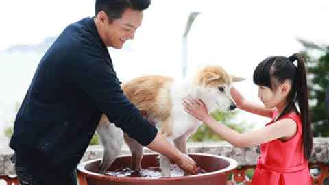 大咖影院 :三分钟速读《我是谁的宝贝》