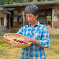 闽湖阿嬷 