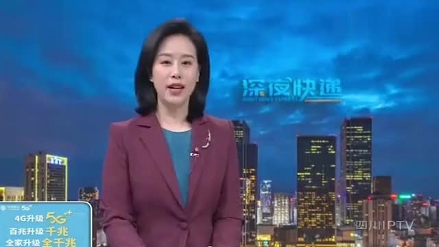 运动+昆虫知识科普!这场2公里亲子定向赛趣味十足!