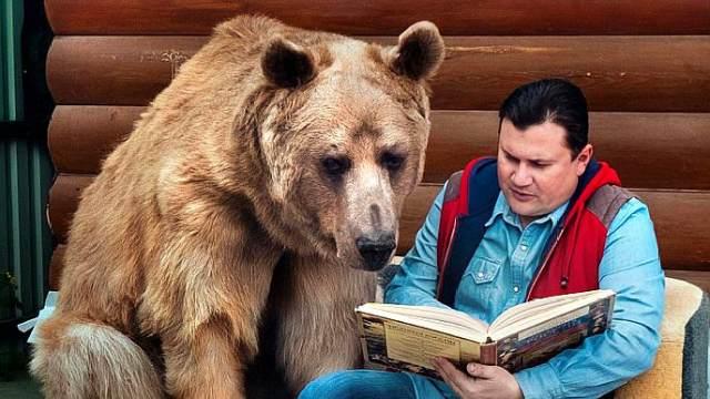 俄罗斯的熊打人是打不过了,只能靠卖萌讨口饭吃了!