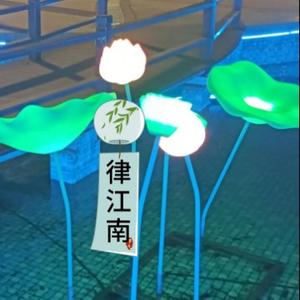 浙江李律师 
