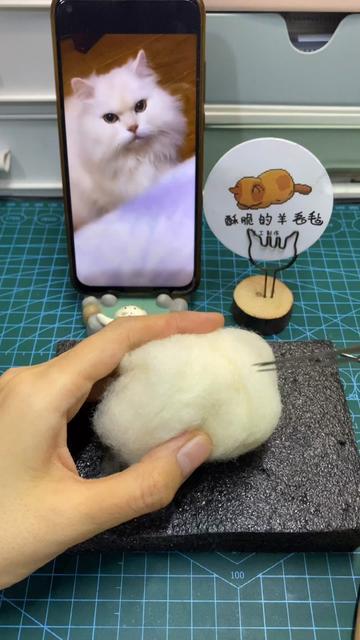 每一件作品都需要数以万次的戳戳戳呀羊毛毡,戳戳乐,手工diy,猫