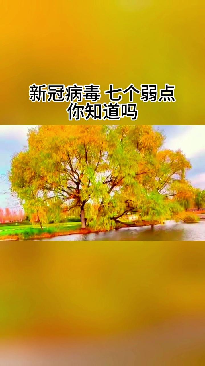 新冠病毒七个弱点你知道吗?#做好个人防护 #次氯酸消毒液 #防疫知识 ...