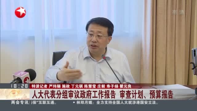 人民代表分组审议政府工作报告 审查计划、预算报告