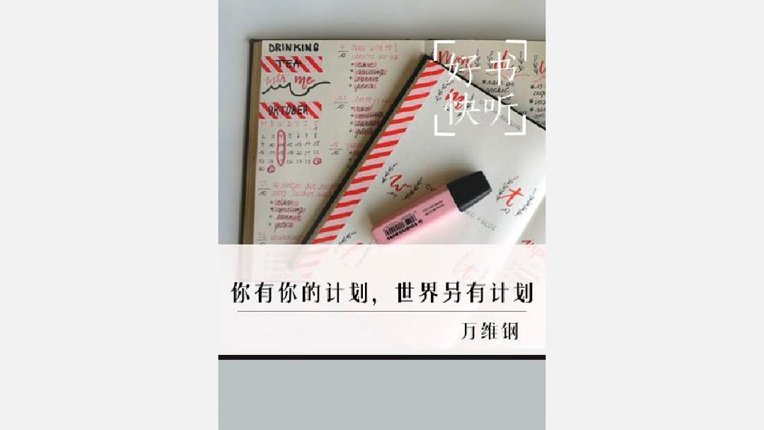 你有你的计划,世界另有计划