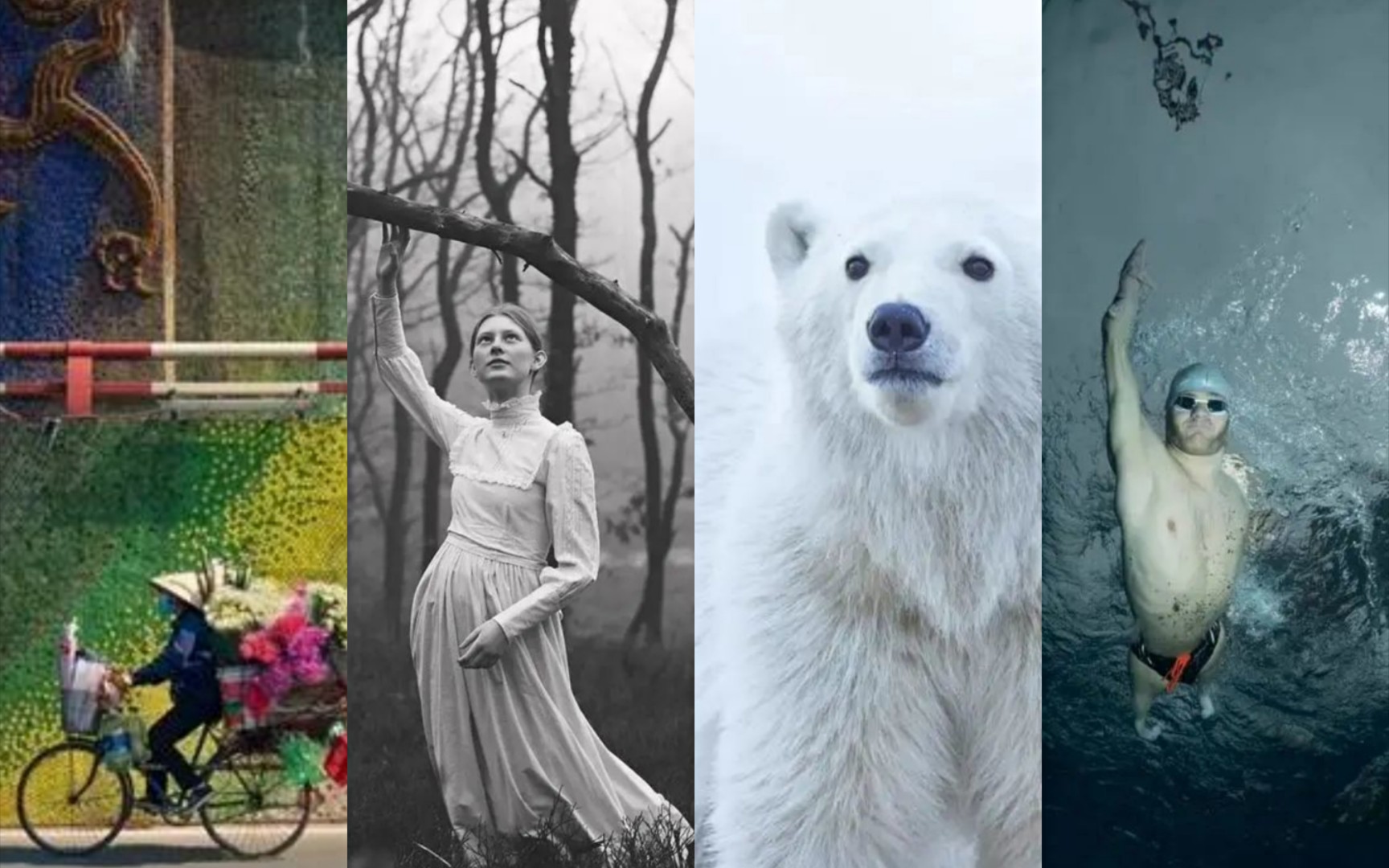 【审美提升】2022索尼世界摄影大赛作品赏析——珍惜自然与和平