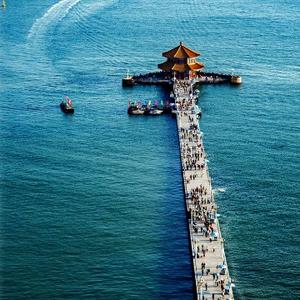 青岛环保创意美学 