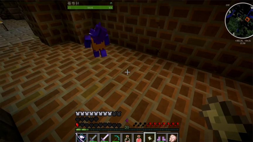 我的世界吸血鬼生存 21